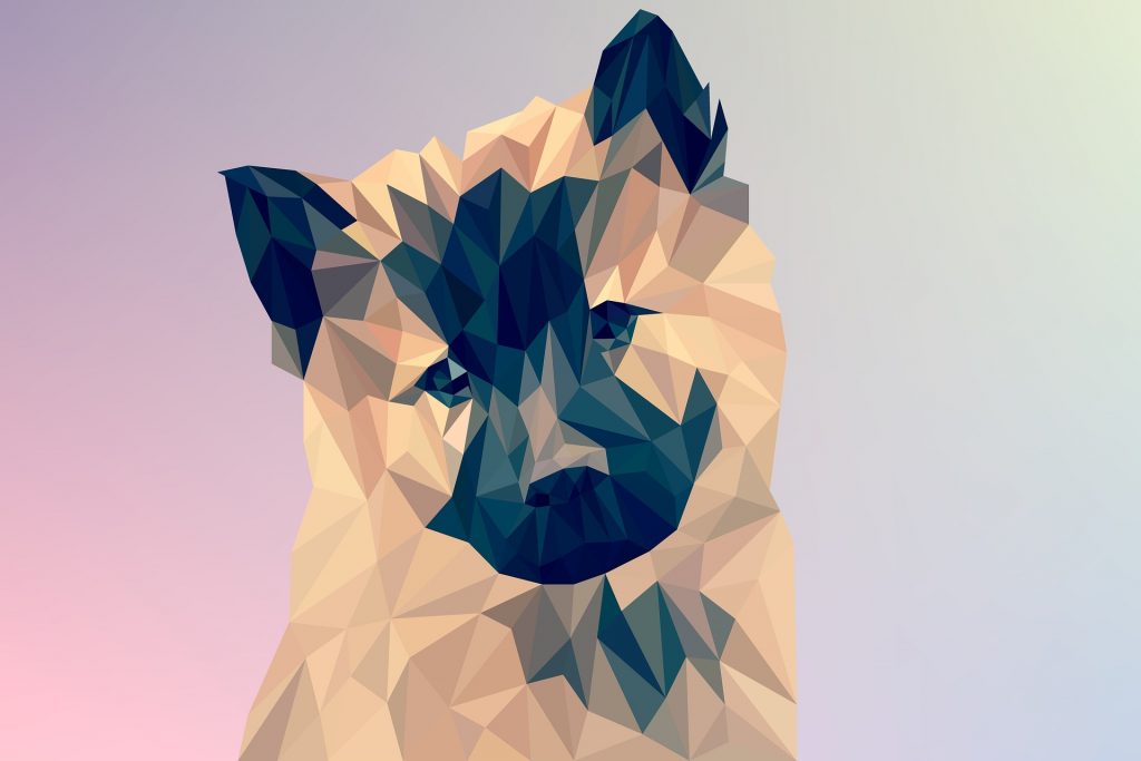 How to make full-color polygonal drawings – OscarCidri